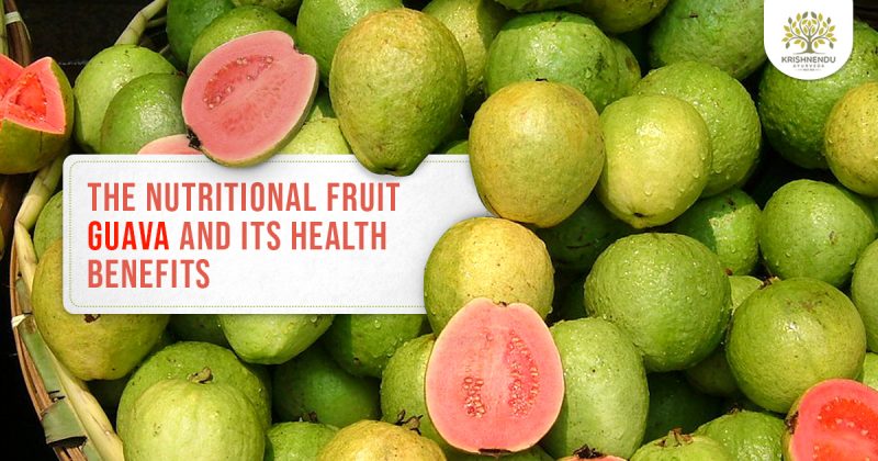 The Nutritional Fruit – Guava and its Health Benefits – Ayurvedic ...